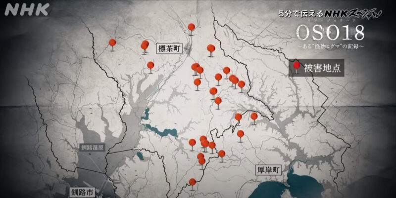 oso18（オソ18）の体長データーと行動範囲が判明しました
